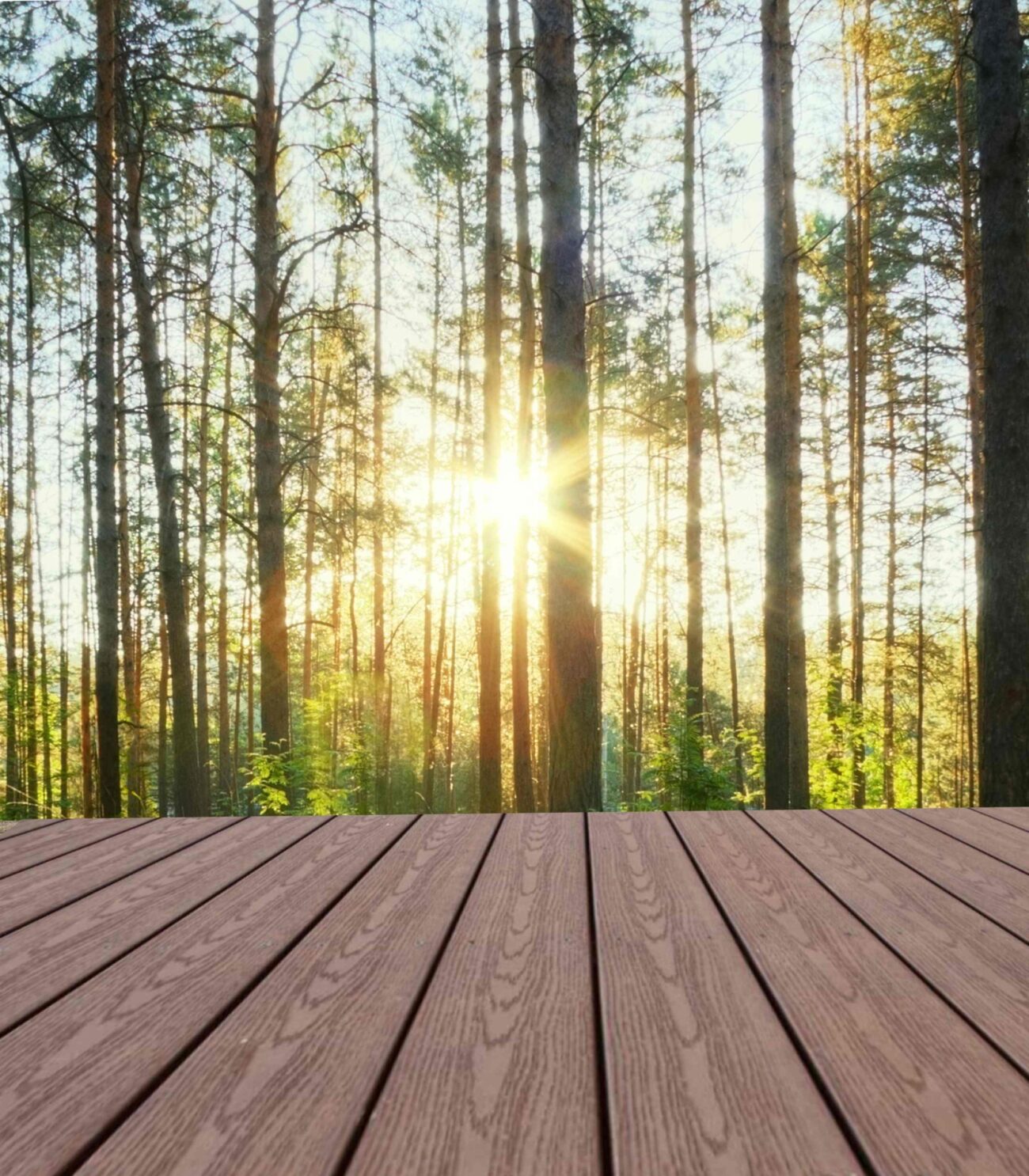 Terasy WoodPlastic - dobrá volba pro naše lesy - TERAFEST.cz